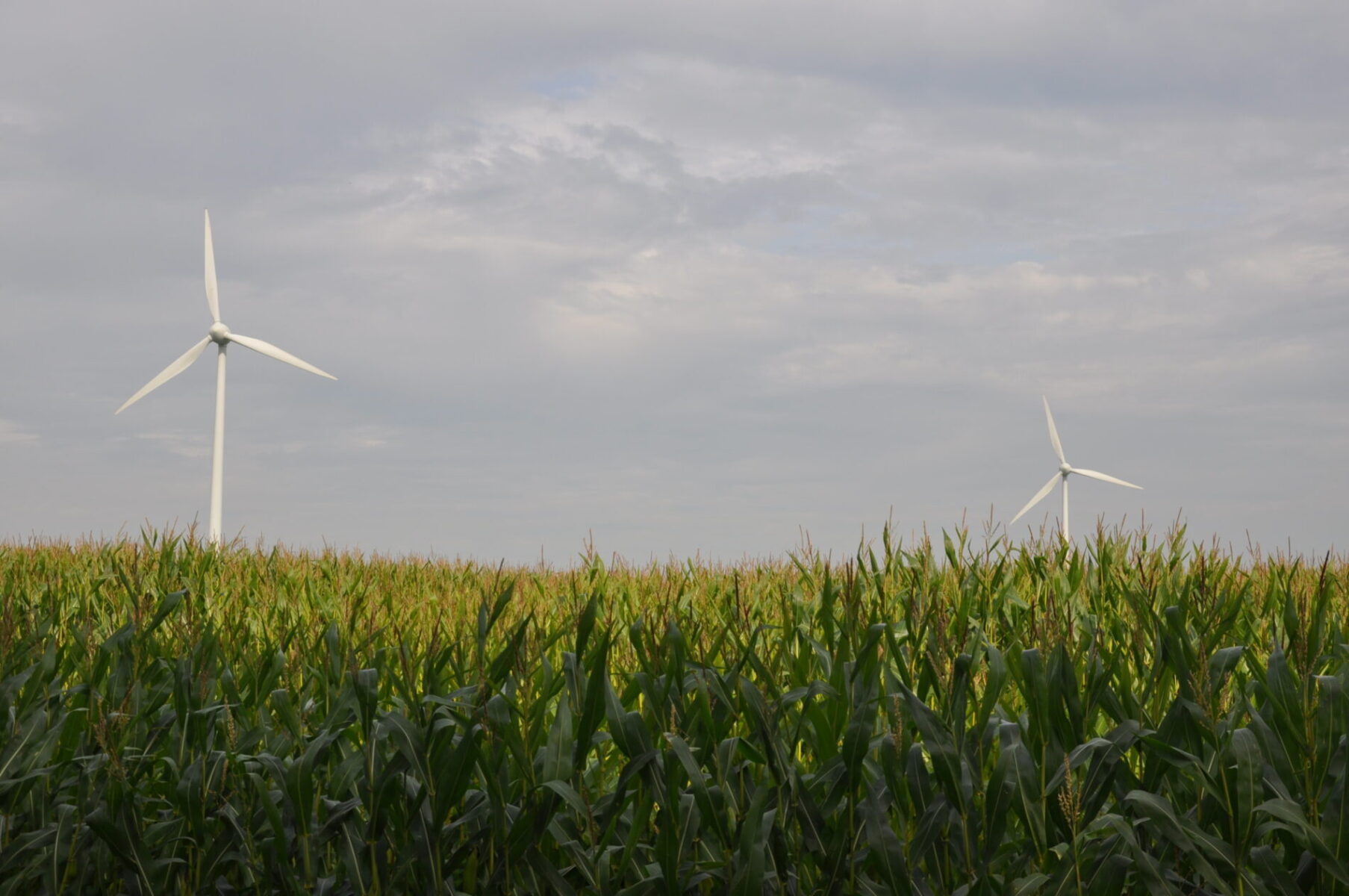Groene stroom: waarom overstappen van energieleverancier loont